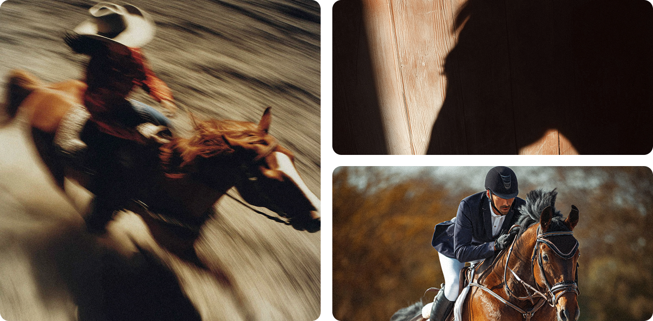 Equestrian World - Designed by Equestrians for Equestrians
